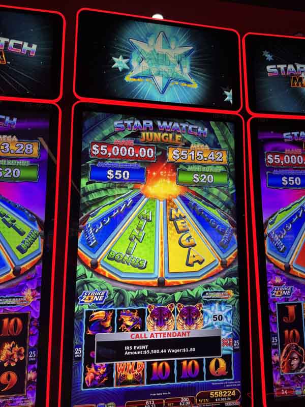 Jackpot Winners Gallery - Newport Racing and Gaming